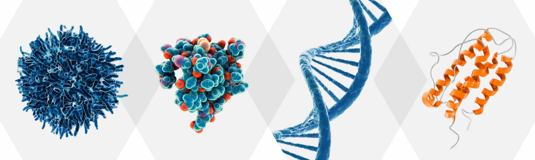 Cell and Gene Therapy is an Evolving Landscape. Let’s Chart the Path ...