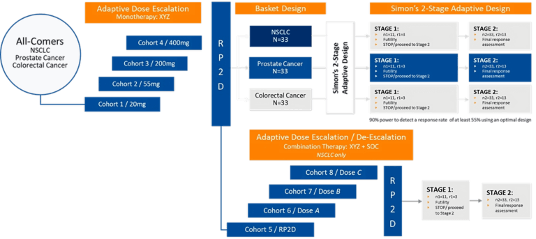 Premier Research | Mastering Dose Escalation Studies Part 1: Optimizing ...